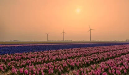 Wind Turbine Windows 10/11 Theme